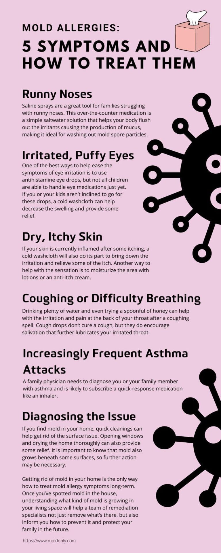Mold Allergies 5 Symptoms And How To Treat Them