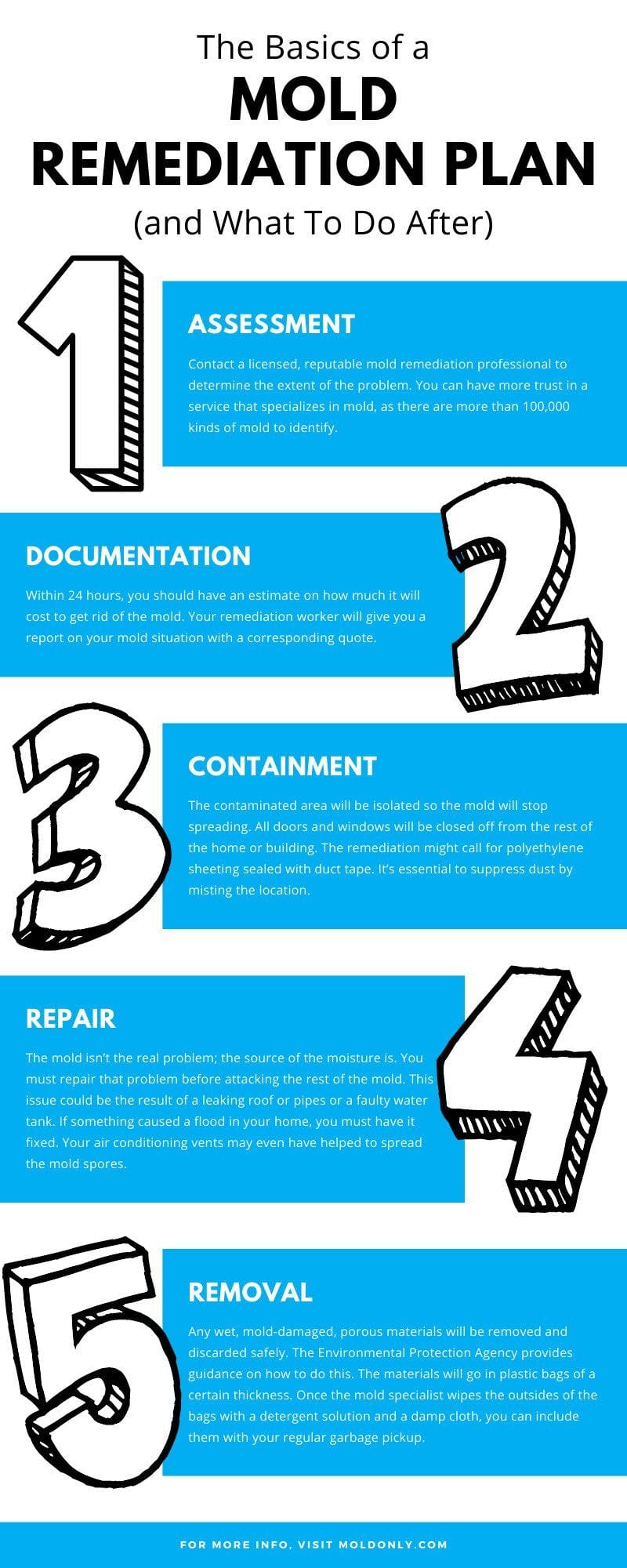 The Basics of a Mold Remediation Plan & What to do After